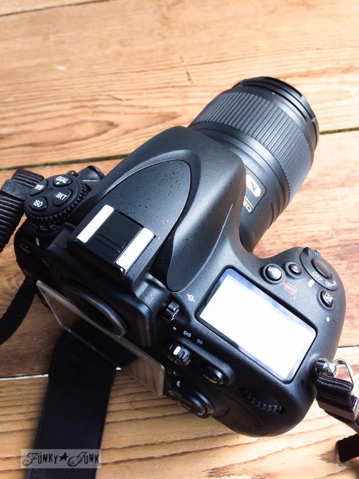 My new outstanding Nikon D800 full frame camera - a reviewFunky Junk ... My new outstanding Nikon D800 full frame camera - a reviewFunky Junk ...