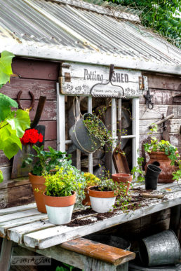 Rustic shed reveal with potting shed garden sign and potting bench ...