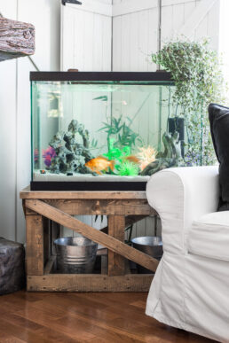 How to build a rustic, inexpensive DIY aquarium stand out of 2x4s ...