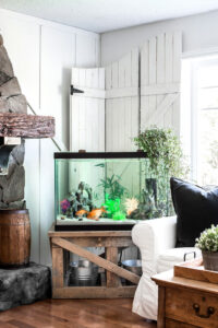 How to build a rustic, inexpensive DIY aquarium stand out of 2x4s ...