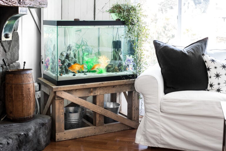 How to build a rustic, inexpensive DIY aquarium stand out of 2x4s ...