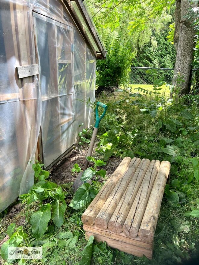 Adding a reclaimed wooden gate and front porch step to a garden shed ...